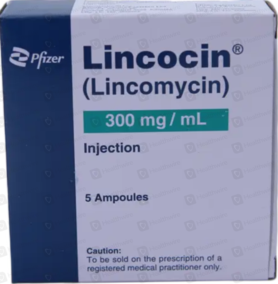 Lincocin (300mg/Ml) 5 Ampoule Injections Price in Pakistan - Uses ...