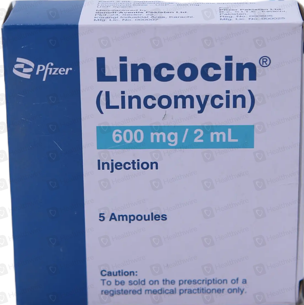 Lincocin (600mg/2ml) 5 Ampoule Injections Price in Pakistan - Uses ...